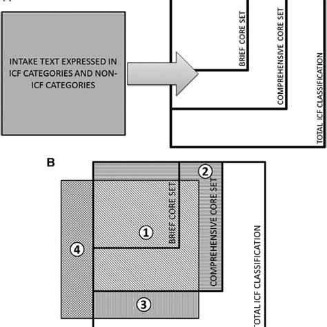 Graphical Illustration Of The Non Overlap Between The Icf Core Sets Download Scientific