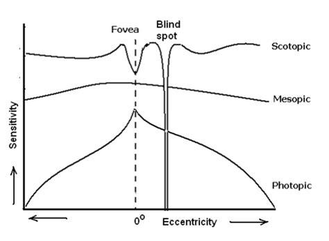 7 The Islandhill Of Vision Under Photopic Mesopic And Scotopic Download Scientific Diagram
