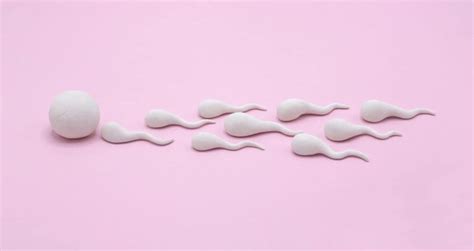 Intra Uterine Insemination Iui In Mthatha
