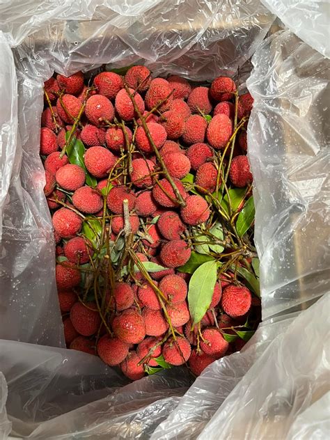 New Generation Produce Corp Brooklyn Ny