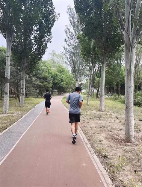 精彩专栏 开源资讯 Oschina 中文开源技术交流社区