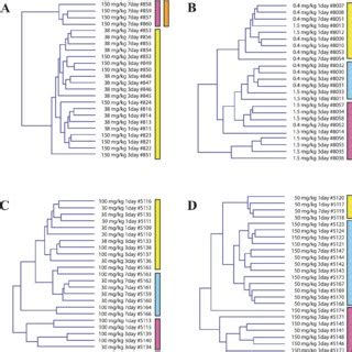 A Combined Hierarchical Clustering Map Of Gene Expression Profiles Of