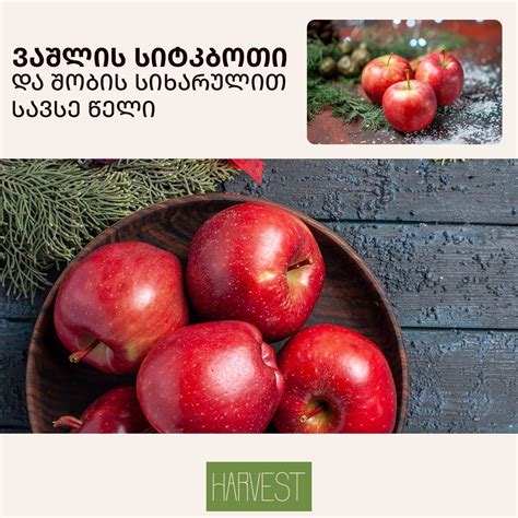 Harvest • მოსავალი On Linkedin 🌟შექმენით სადღესასწაულო სეზონის ჯადოსნური ატმოსფერო 😍გახადეთ თქვენი…