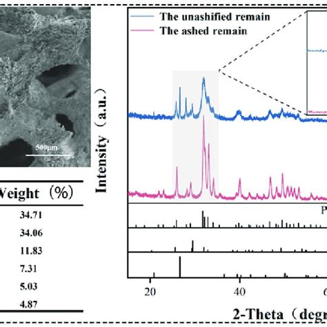Microstructure And Composition Of Human Bone Download Scientific Diagram