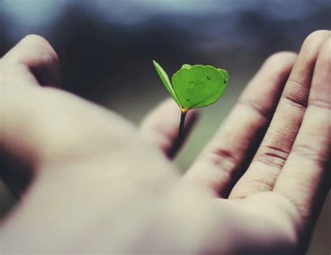 How To Calculate Embedded Emissions In Products For Cbam Compliance