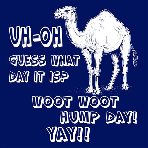 Camel Hump Day Quotes Quotesgram