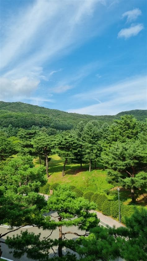 강원도 원주 오크밸리 리조트 골프빌리지 31평 객실 후기 부대시설 아이와 놀거리 네이버 블로그