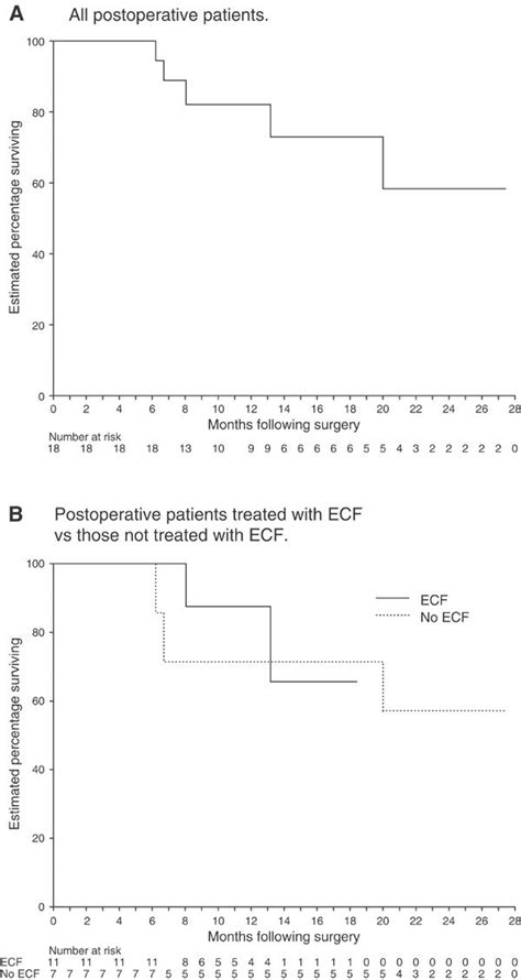 Relapse Free Survival Among A All Postoperative Patients And B Download Scientific