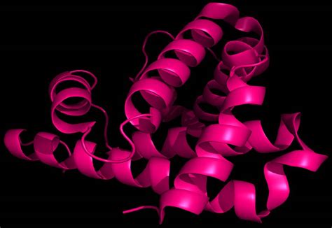 Myoglobin Esthetics Famous Proteins In Frames