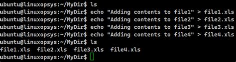Bash For Each File In A Directory