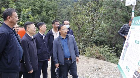 省人大常委会督察组到迪庆州开展林长制工作督察云南人大网