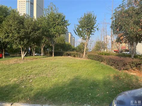起始总价312亿！义乌江东街道2宗地块入市 义乌房子网新房
