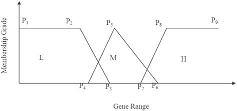 Partitioning Of Input Genes In Fuzzy Space Download Scientific Diagram