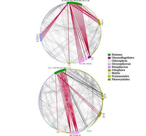 8 Ecological Network Analysis With Focused On Interactions With Download Scientific Diagram