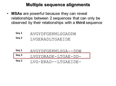 Biology 4900 Biocomputing Ppt Download