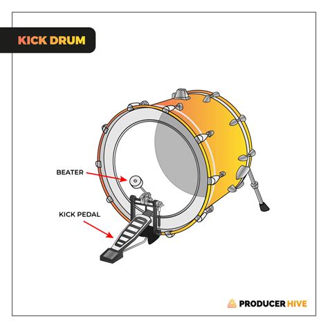 The Ultimate Guide To All Types Of Drums And Percussion