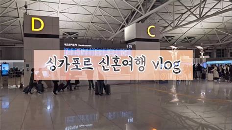 하루 3만보 걷기 실화냐 신혼여행 싱가포르 브이로그 1탄 페닌슐라엑셀시어호텔멀라이언파크마리나베이샌즈 슈퍼트리사태거리 Youtube