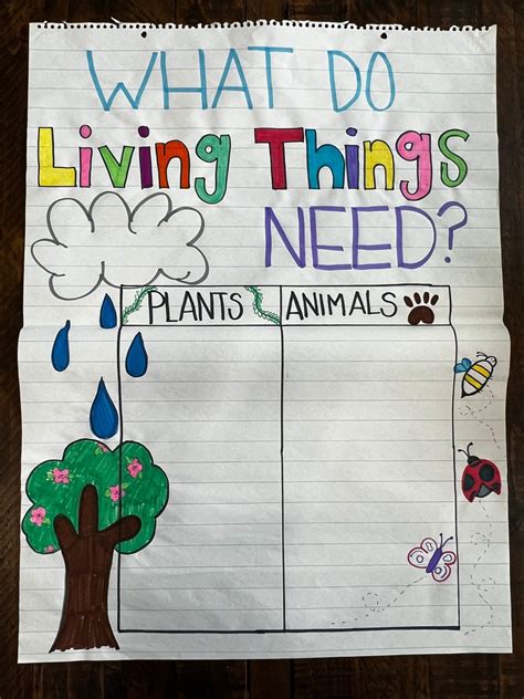 Living Needs Anchor Chart Classroom Anchor Chart Etsy