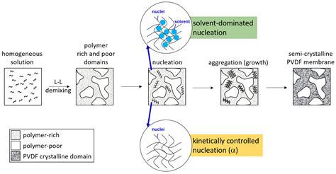 Polymers Free Full Text Formation Of Porous Structures And