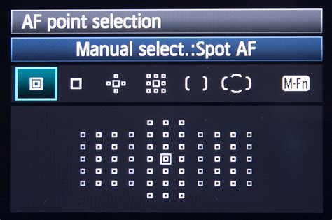 Understanding Camera Focusing A Photography Tutorial