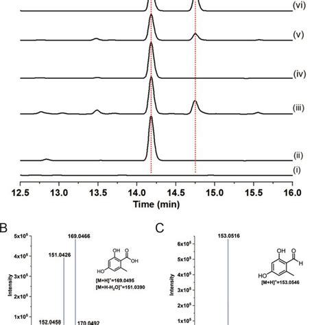 Heterologous Expression And Characterization Of Metabolites A Hplc Download Scientific Diagram