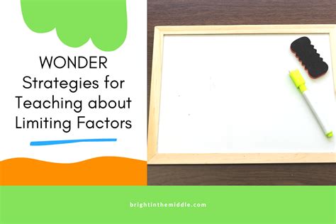 5 Ways To Teach Ecosystem Limiting Factors With The Wow Factor Bright In The Middle