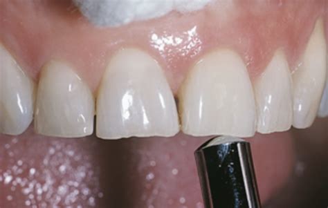 Theory Week Flashcards Quizlet