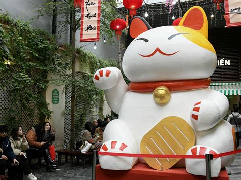 The Year Of The Cat Vietnamese Zodiac 60 Photos