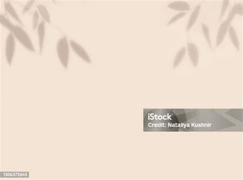 파스텔 베이지 색 배경에 녹색 열대 잎 그림자와 창조적 인 레이아웃 최소한의 여름 컨셉 0명에 대한 스톡 사진 및 기타 이미지 0명 개념 그림자 Istock