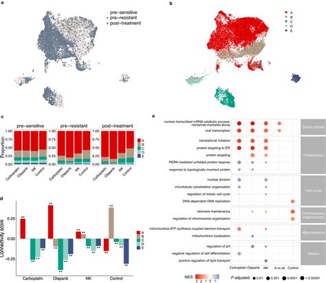 Interplay Between Genetic And Transcriptomic Features In Primed