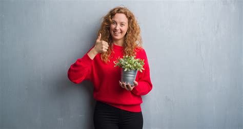 큰 행복 공장 냄비를 들고 회색 그런 지 벽에 빨강 머리 젊은 여자 확인 서명 하 고 미소 손가락 우수한 로그인으로 엄지 개념에 대한 스톡 사진 및 기타 이미지 Istock