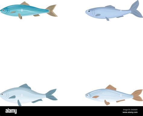 Herring Icons Set Cartoon Vector Fresh Raw Edible Cartoon Fish