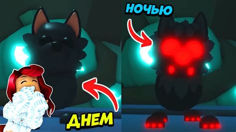 Как Получить Оборотня в Адопт Ми Новые Петы Обнова Adopt Me Roblox Youtube