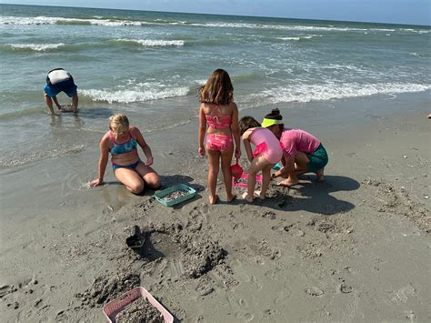 BOOK YOUR ADVENTURE Fossils Forever