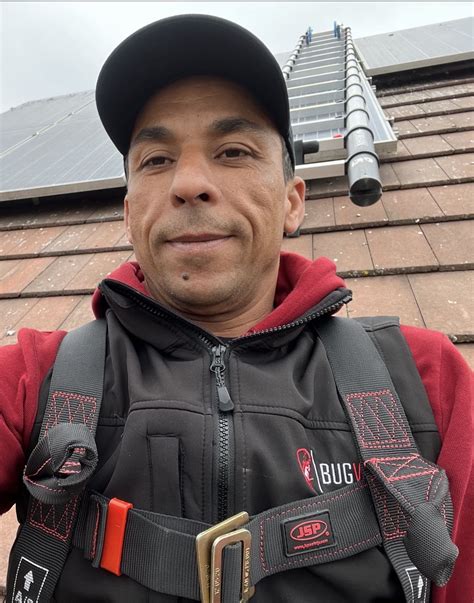 Bluebottle Flies Habits Risks And How To Get Rid Of Them