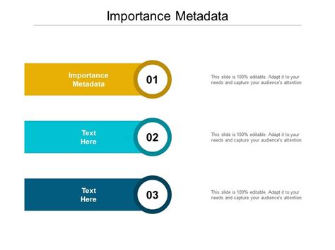 Importance Metadata Ppt Powerpoint Presentation File Background Designs