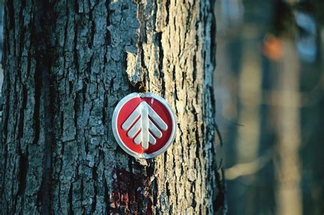Premium Photo Close Up Of Warning Sign On Tree Trunk