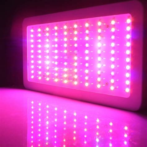 Socket W Band LED Grow Light Shop Australia