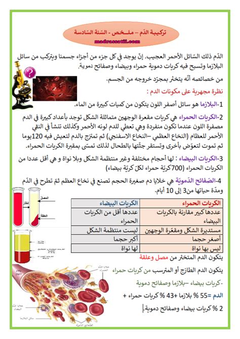 تركيبة الدم مكونات الدم خلاصة Science Save Mindfulness