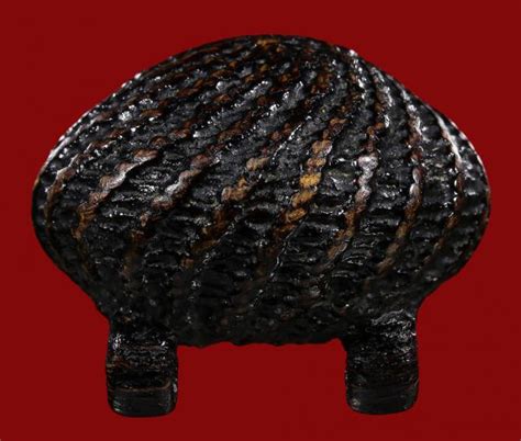 เบี้ยแก้ หลวงพ่อเพิ่ม วัดกลางบางแก้ว นครปฐม ยุคแรก 5872 Vip Amulet ศูนย์รับเช่าพระเครื่องให้