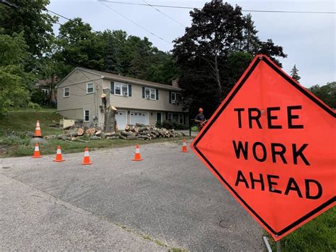 Tree Removal NH Tree Service Near Me AAI Tree NH