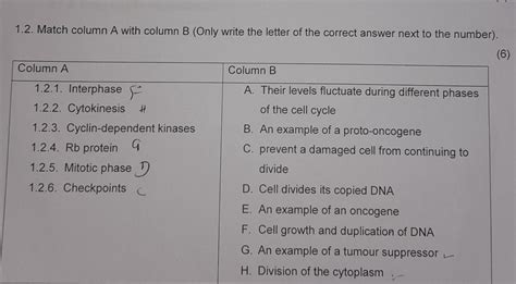 Solved 1 2 Match Column A With Column B Only Write The