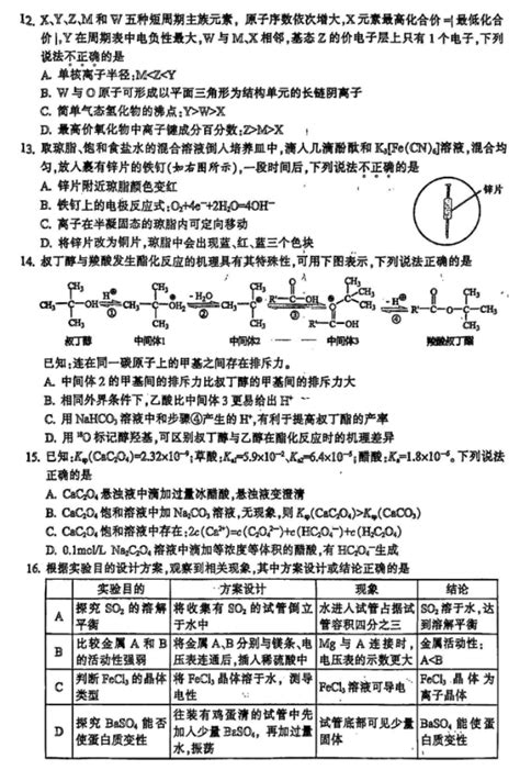 浙江金华十校2024高三4月二模考试化学试题及答案解析高三网