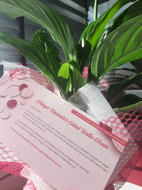 Bu Güzel çiçekler Ve Ince Düşünceleri Için Bilişim A Ş Zehra Gökçe