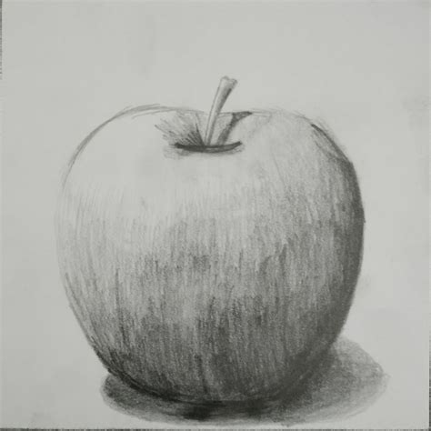 Apple Shading ภาพวาด โปรเจกต์ศิลปะ