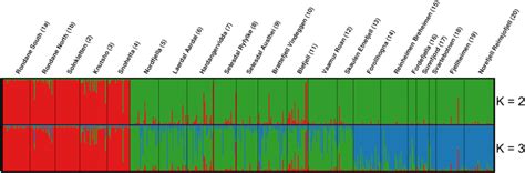 Individual Cluster Assignment Analysis Performed In Structure V2 3 4 Download Scientific