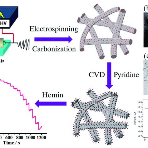 Schematic Diagram Of The Electrochemical Sensor Download Scientific Diagram