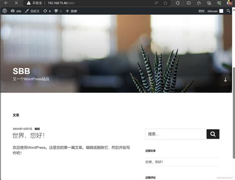 LAMP架构 CSDN博客