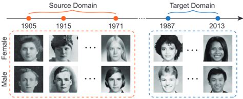 논문 리뷰 Enhancing Evolving Domain Generalization Through Dynamic Latent