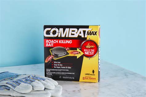 The 6 Best Roach Killers Of 2026 Reviewed By Bhg